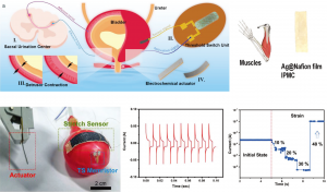 Publications – SSCHIP
