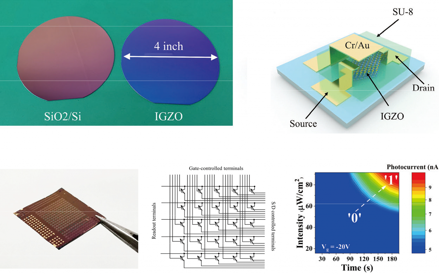 Publications – SSCHIP