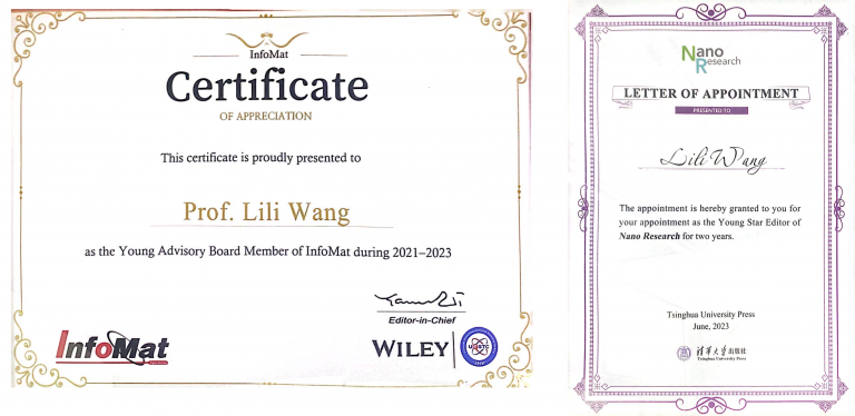 SSCHIP – Wang Group