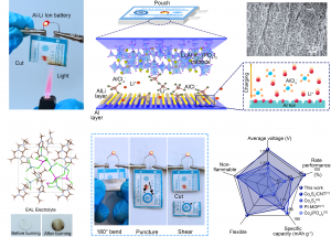 Publications – SSCHIP