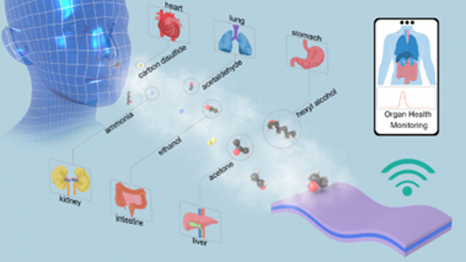 Publications – SSCHIP